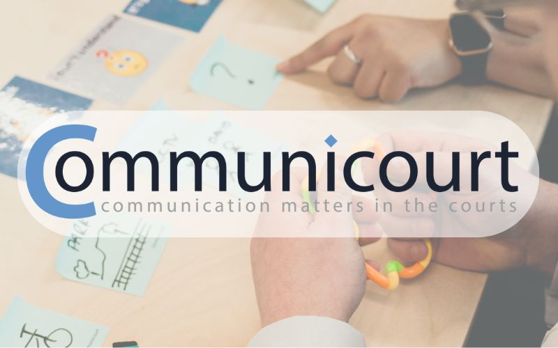 Breaking down legal language: inside the role of a court intermediary ...